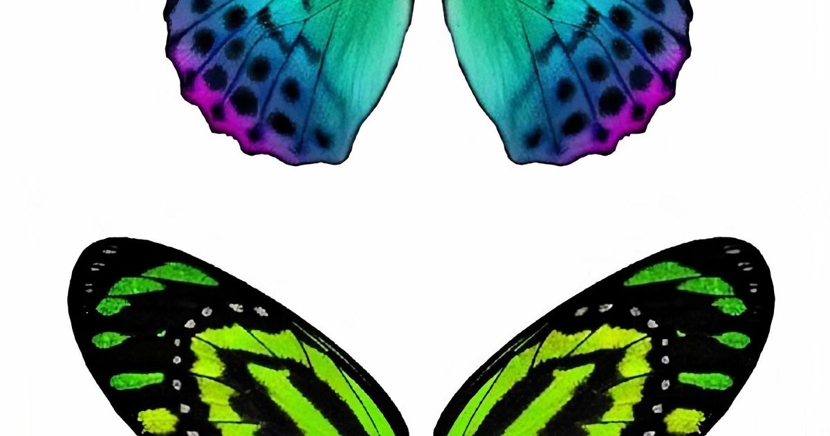 prueba2 | David Ortega | 8th Wall