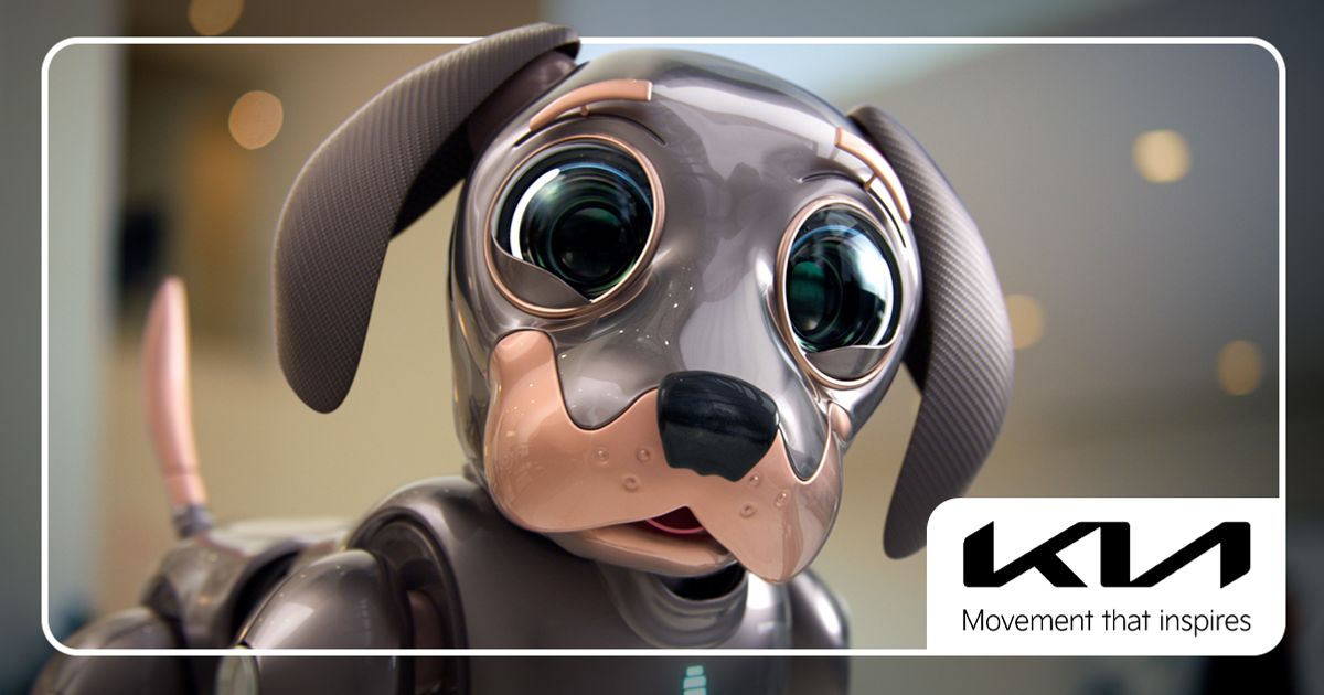 Kia: Dogmented Reality | 14Four | 8th Wall