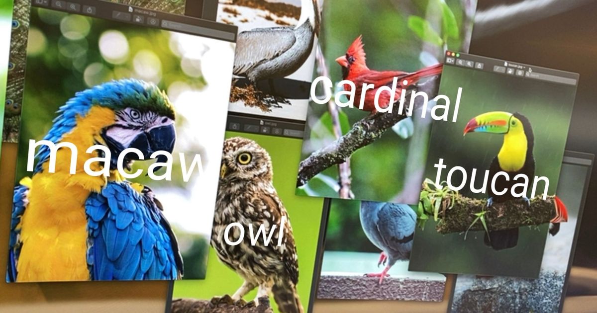 Endless Image Targets | 8th Wall | 8th Wall