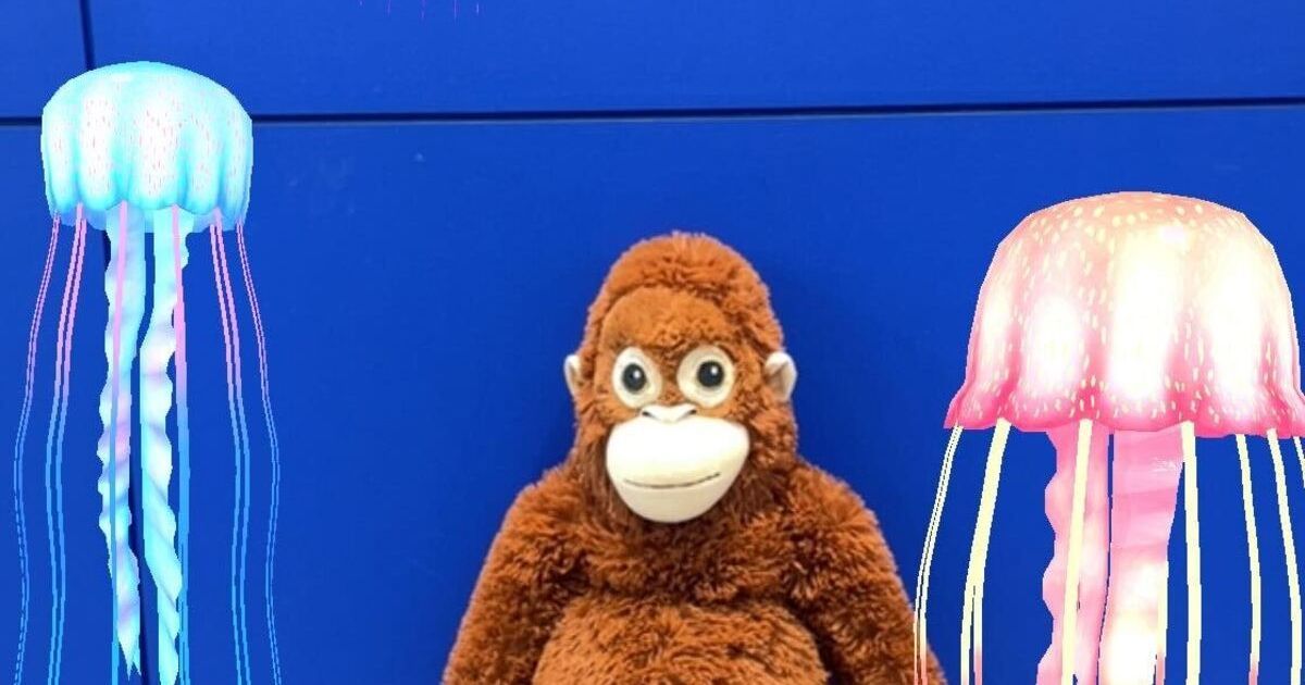 8th Wall | Kim Chanhee