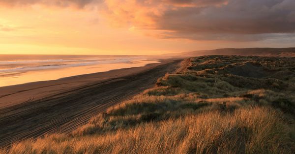 Mercadito | El greñas animation | 8th Wall