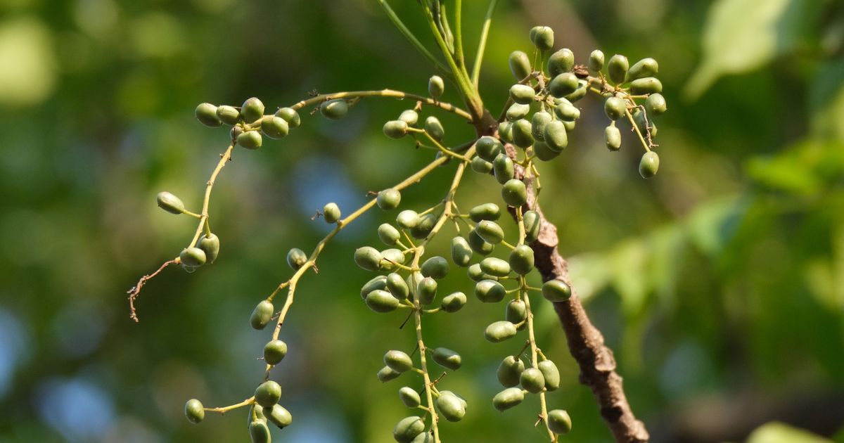 8th Wall | likit yodya