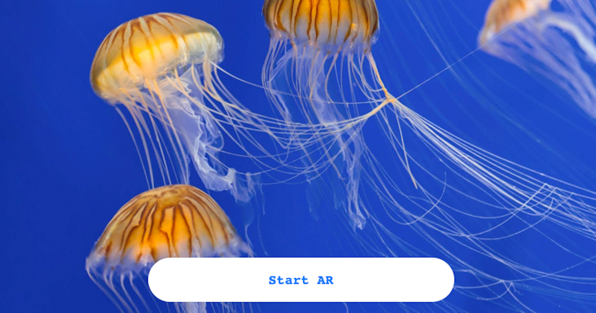 Splash screen + video with sound | 8th Wall Playground | 8th Wall