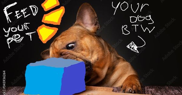 Feed The Hungry Pupper! | Ashley Arcanjo | 8th Wall