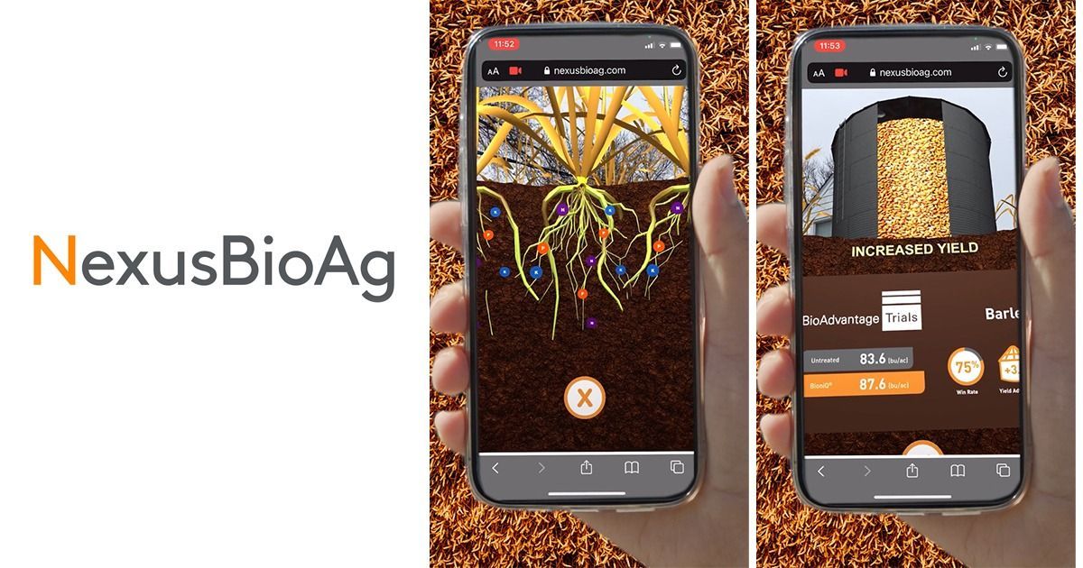 Nexus Bio Ag | First Descent AR Studio | 8th Wall