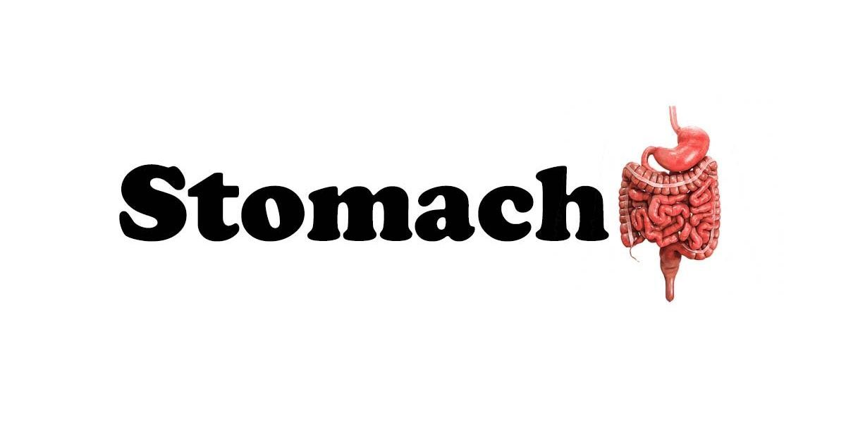 Stomach AR | e-school ar | 8th Wall