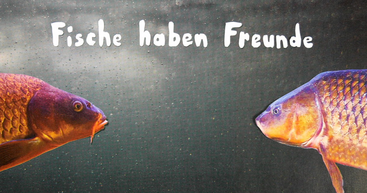 Oh my fish! Infotafel 1 | hs-hannover | 8th Wall