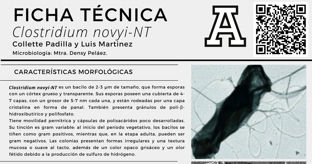 Clostridium novyi-NT | Newluispatata | 8th Wall