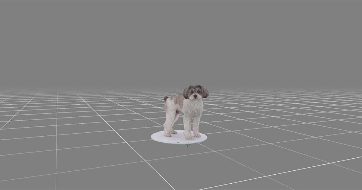 Chico Dog - Alone | GeniusXR | 8th Wall