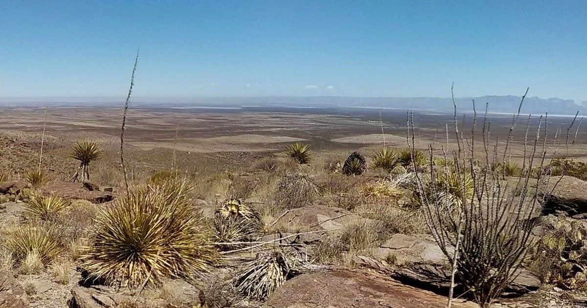 Trans-Pecos Ecoregion of Texas | Andrew Thomason | 8th Wall