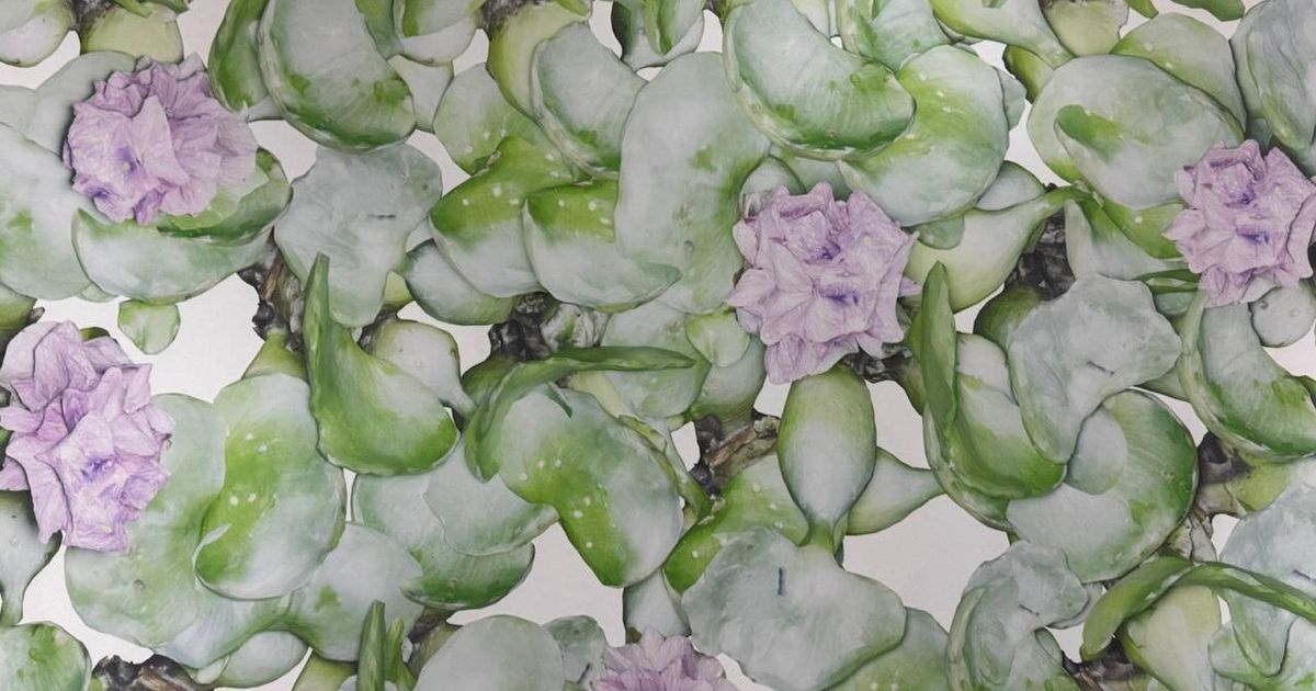 REMOLINO DE RÍO | Manino González | 8th Wall