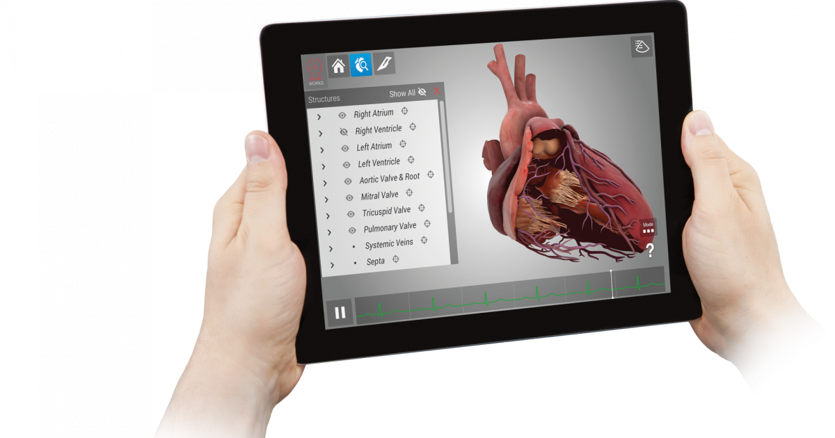 Animated_Heart | NXT INTERACTIVE | 8th Wall