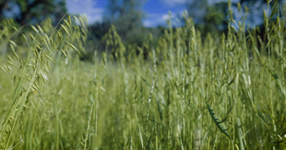 AR Experience to be used in Inline AR Sample Project | Digit ...