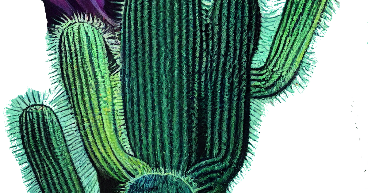 Pink Peak Desert | Web Developer | 8th Wall