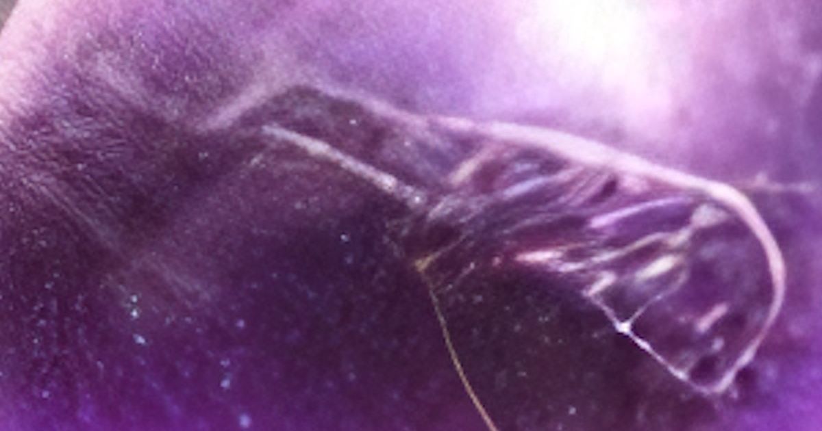 ImageTarget-Model-Offset | Qoo Studio | 8th Wall