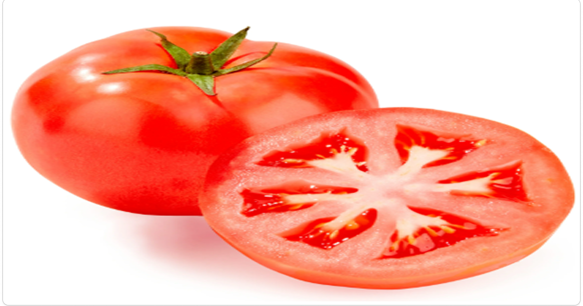 Tomato Filter | 재인 정 | 8th Wall