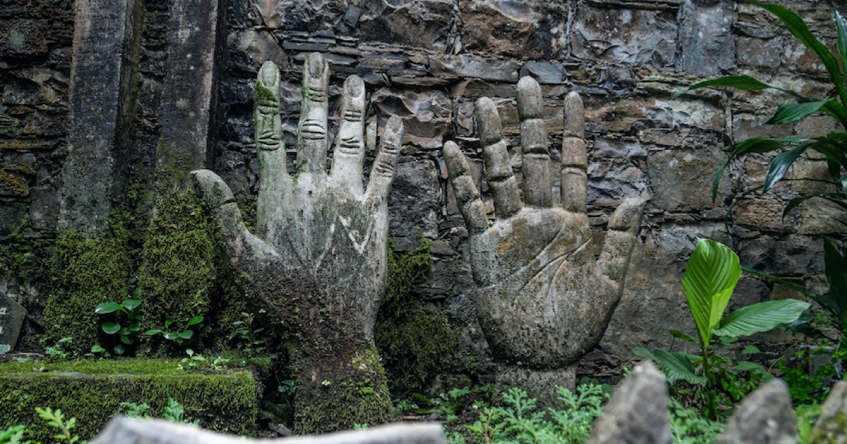 Manos Xilitla | Alberto Colin | 8th Wall