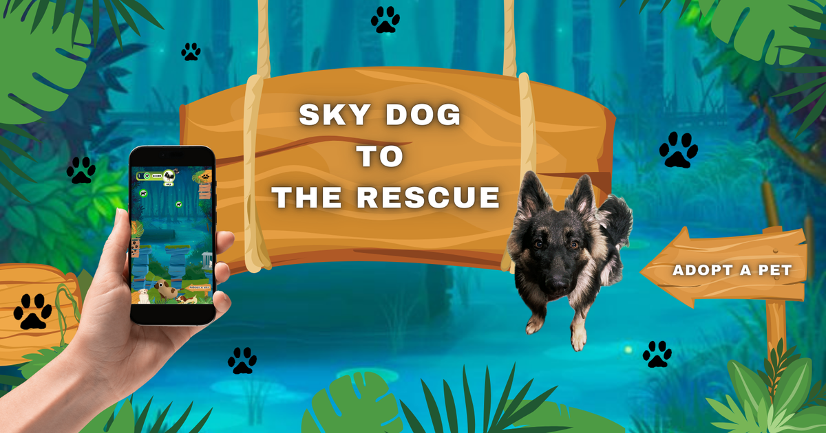 Sky To The Rescue | Libardo Martinez Durango | 8th Wall