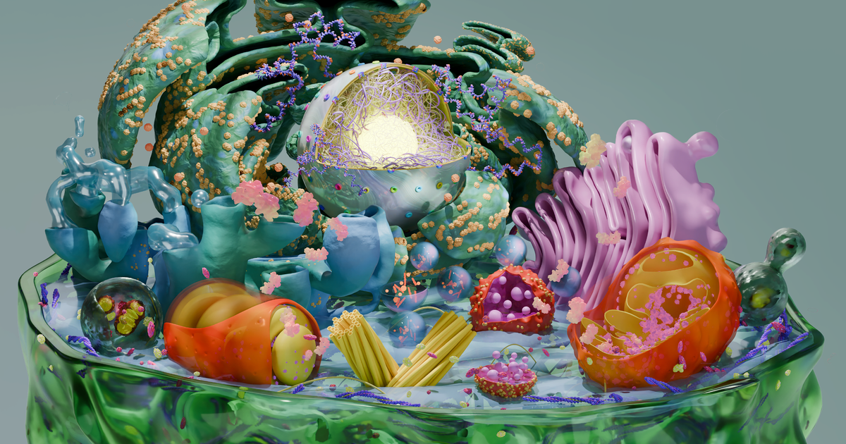 MPI | Geheimnis des Lebens | Maiken Laackmann | 8th Wall