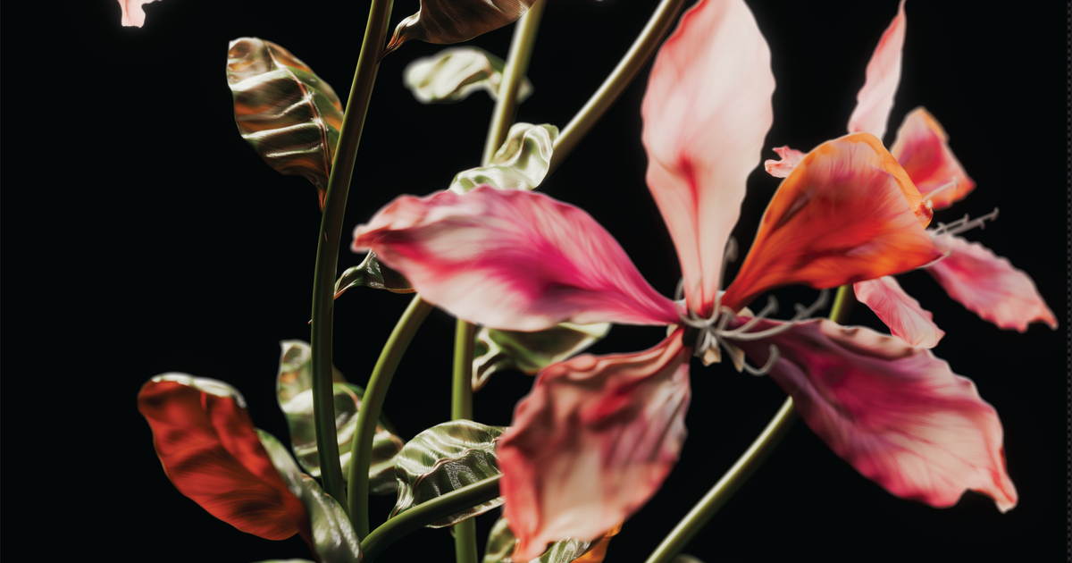 Rootless Bloom House | Carl Barrett | 8th Wall