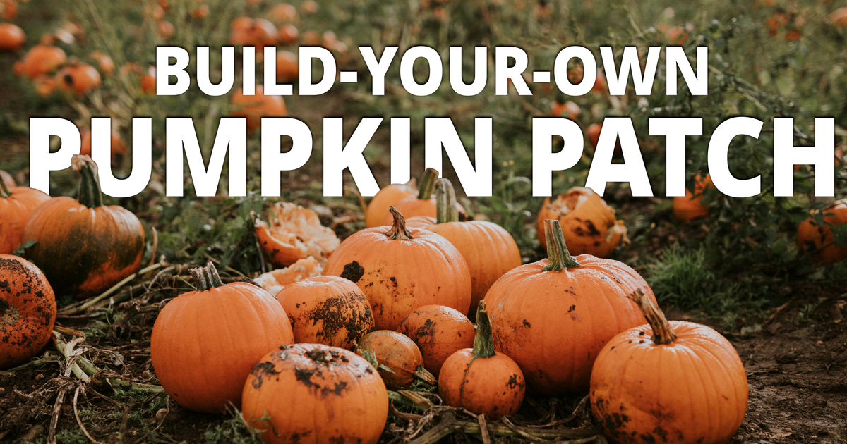 Build-Your-Own Pumpkin Patch | Active Media Publishing Group | 8th Wall