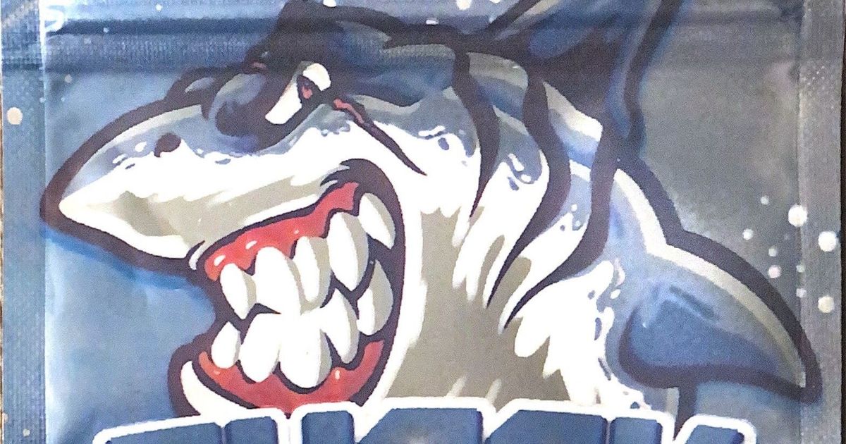 Shark | J.W.P Tech | 8th Wall