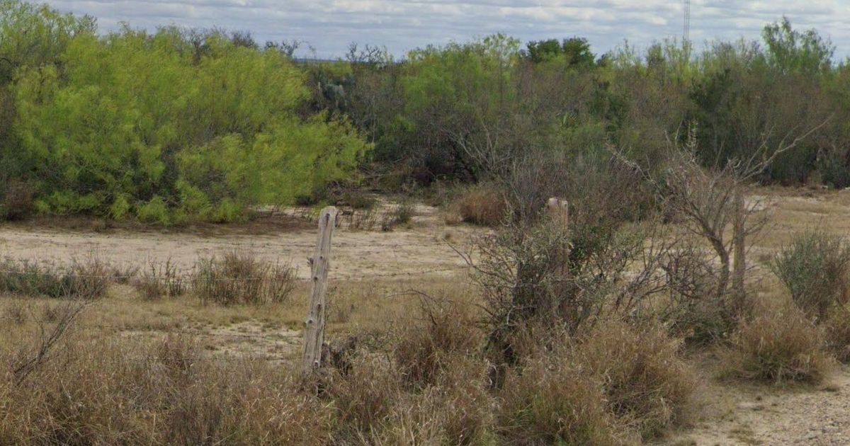 South Texas Plains/Brush Ecoregion | Andrew Thomason | 8th Wall