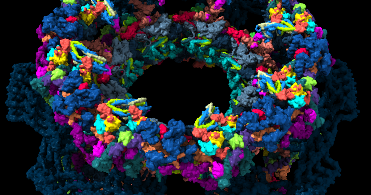 Kernpore | Max-Planck-Institut by maiken laackmann | Maiken Laackmann ...