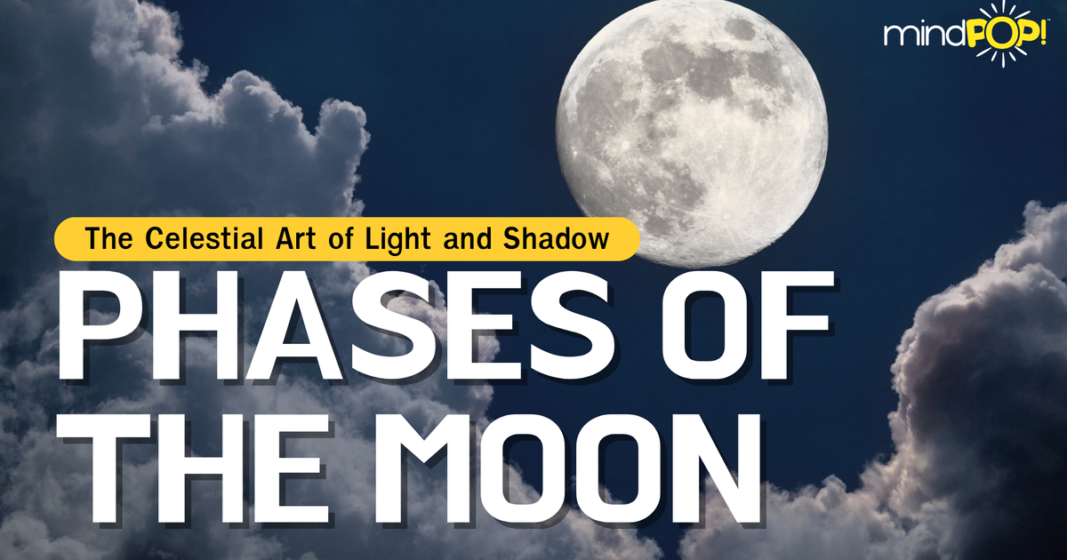 Phases of the Moon (#002) | mindPOP! | 8th Wall