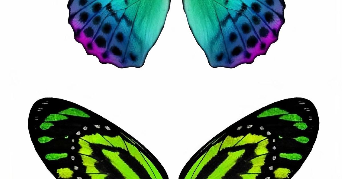 conorb | David Ortega | 8th Wall