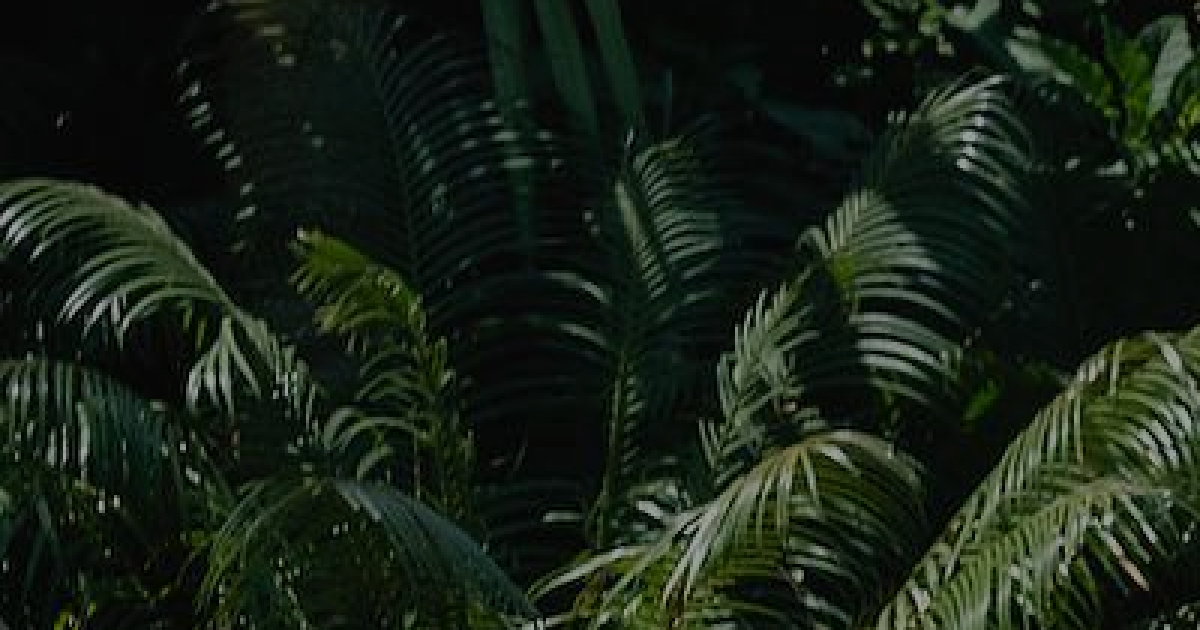 8th Wall | O - Projects