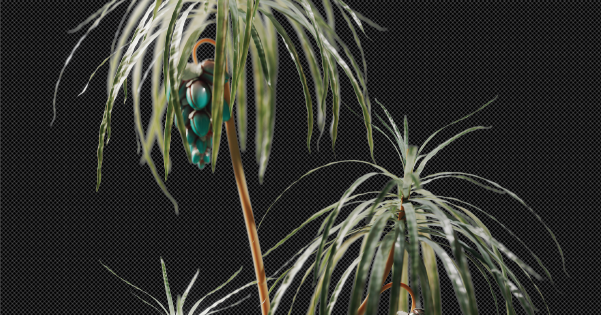 8th Wall | Carl Barrett