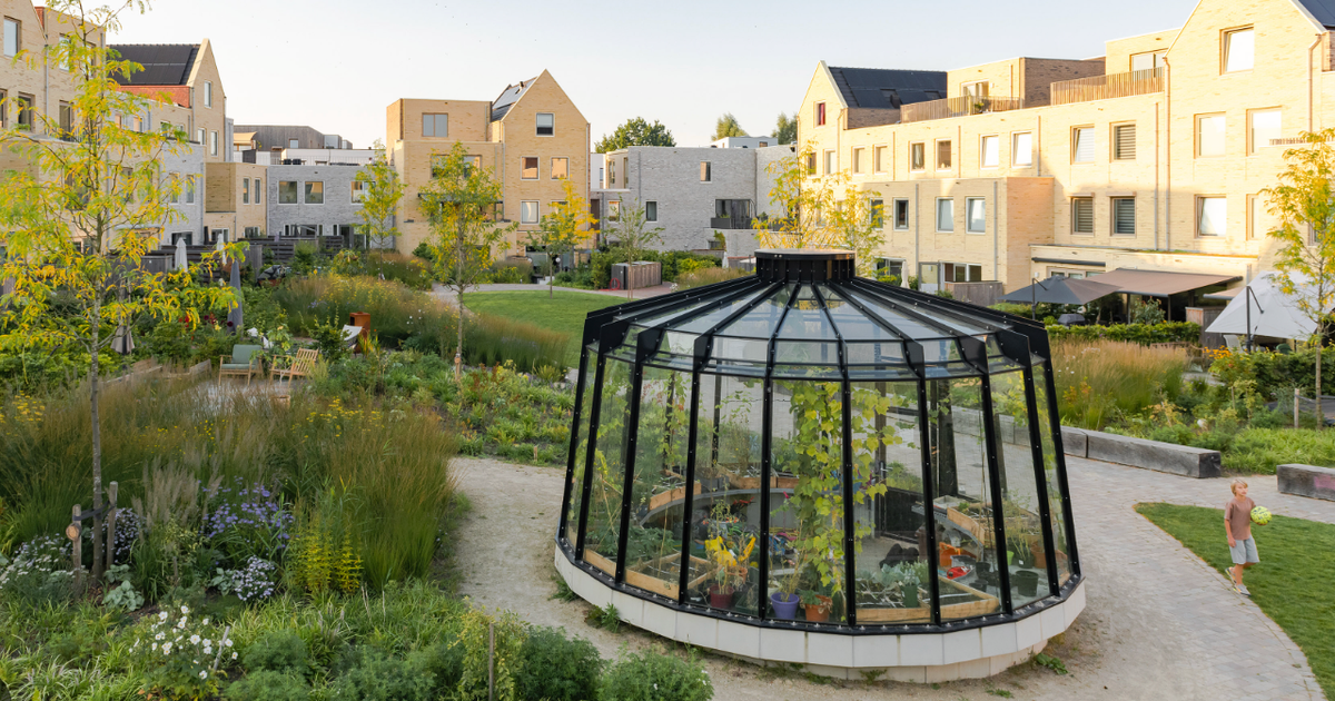 8th Wall | Fillip Studios