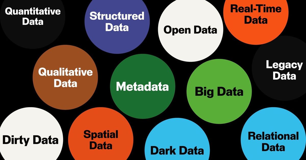 What Data Am I? | What's Your Data Type | 8th Wall
