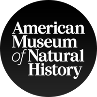 8th Wall | AMNH Sci Viz Group